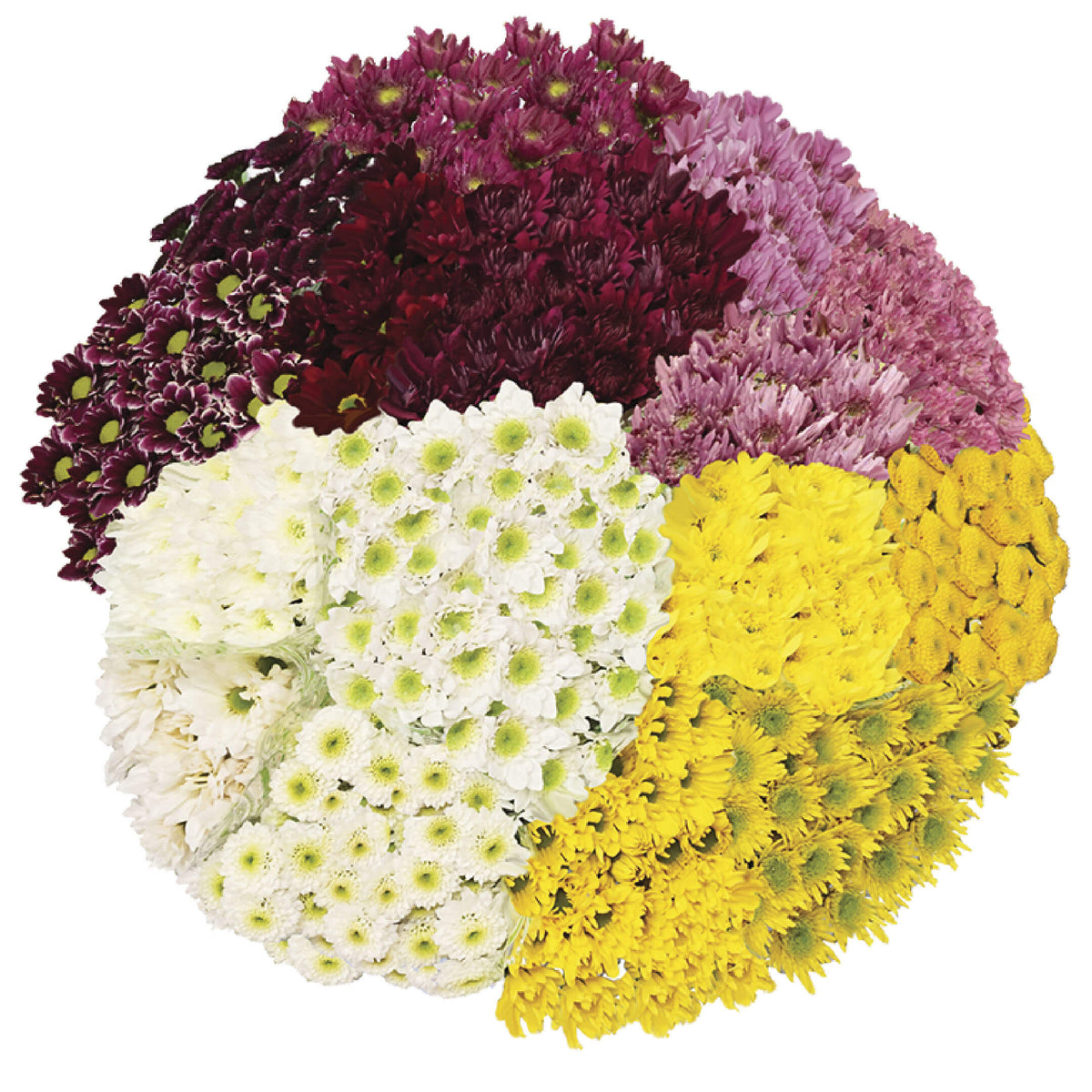 Mothers Day Pack Combo Box 5 Stems Bunches – Melody Farms Online